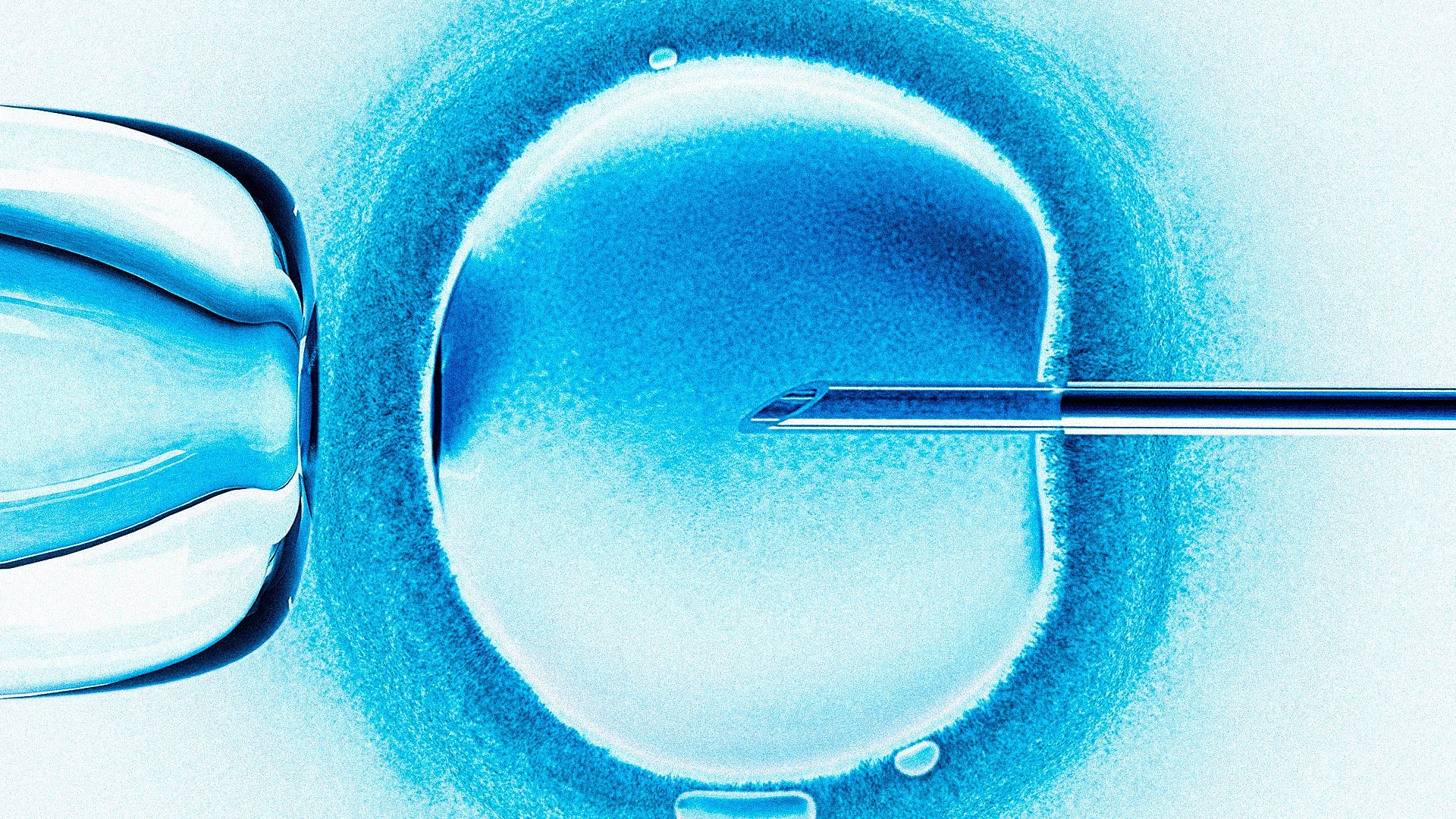 Lind fëmija i parë i konceptuar duke përdorur një sistem IVF tërësisht ...